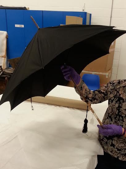 The Vickery and the Drooko: Choosing the Perfect Nineteenth Century ...